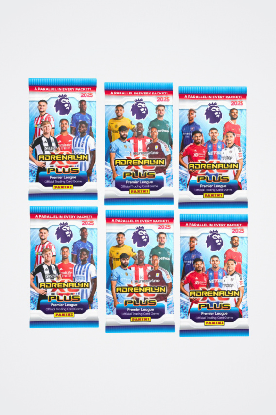 Saszetki Premier League PLUS 2025 Panini | karteina.pl